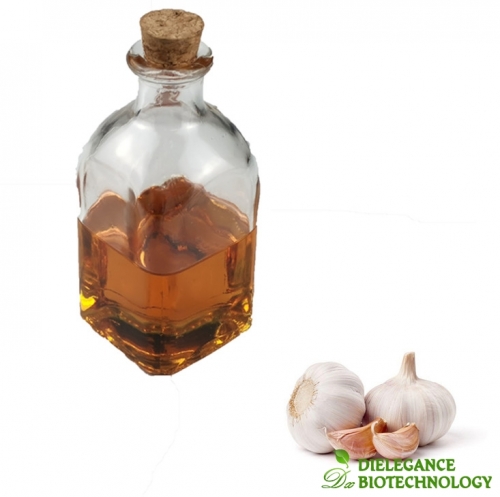 Best China Garlic Oil | Bulk Garlic Essential Oil Supplier Dielegance ...