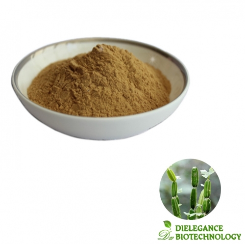 Cissus Quadrangularis Extract Powder for Weight Loss | Bulk Wholesale ...