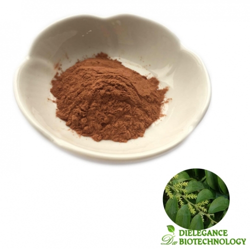 Source Miswak Extract | Bulk Wholesale Miswak Extract Powder Supplier ...