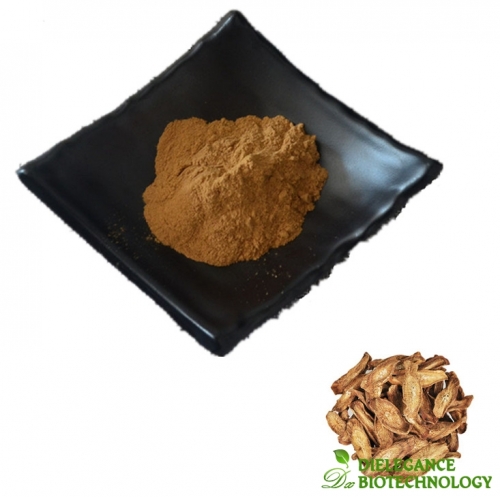 Source Arctium Extract | Bulk Wholesale Arctium Lappa Root Extract