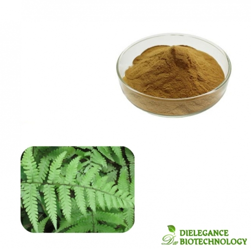 Competitive Price High Quality Polypodium Leucotomos Extract Powder ...