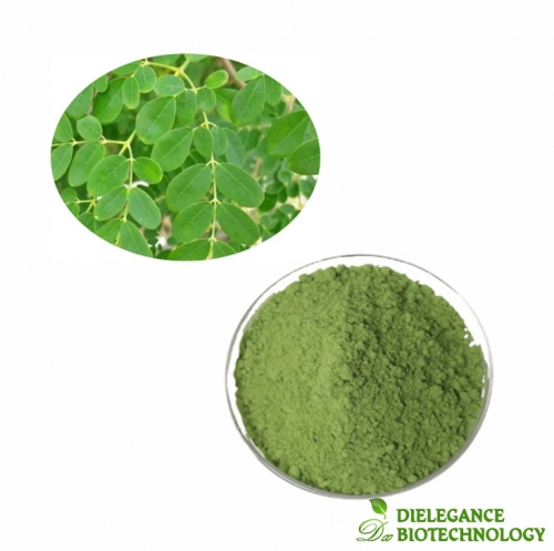Favorable Price Pure Natural Organic Moringa Oleifera Leaf Extract Powder