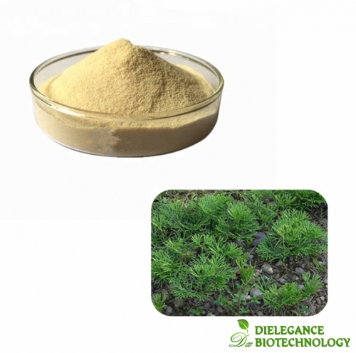 Factory Supply Pure Light Grade Lycopodium Spore Powder for Fireworks