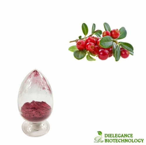 100% Pure Cranberry Fruit Powder Food Colorant