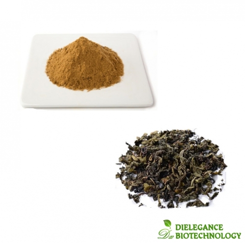 100% Pure Instant Oolong Tea Powder