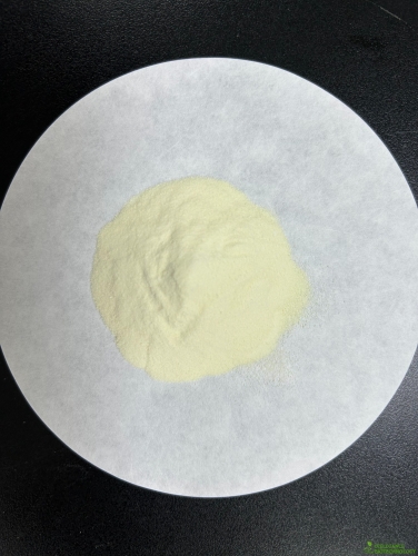 100% Natural Garlic Powder Encapsulated Garlic Powder