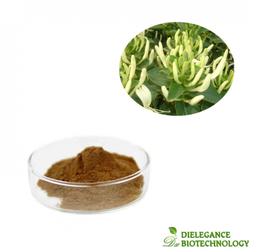 Pure Honeysuckle Extract Chlorogenic Acid Bulk Powder