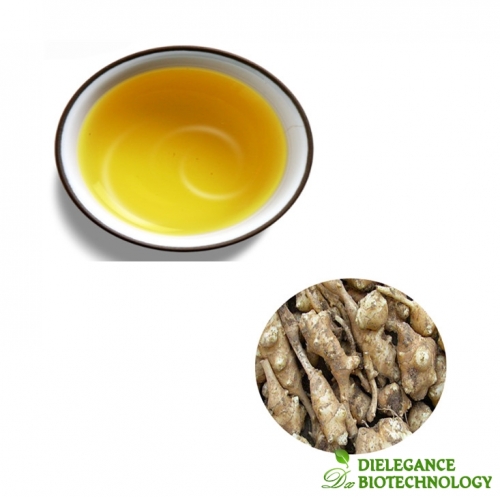 Inulin Liquid | Bulk Wholesale Organic Chicory Liquid Extract