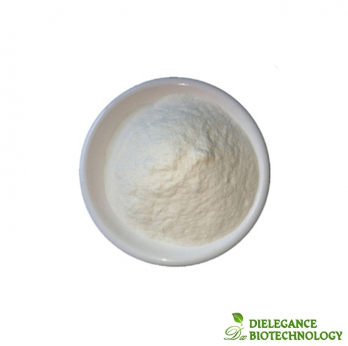Pure Bovine Collagen Peptide Powder Bulk Supplement