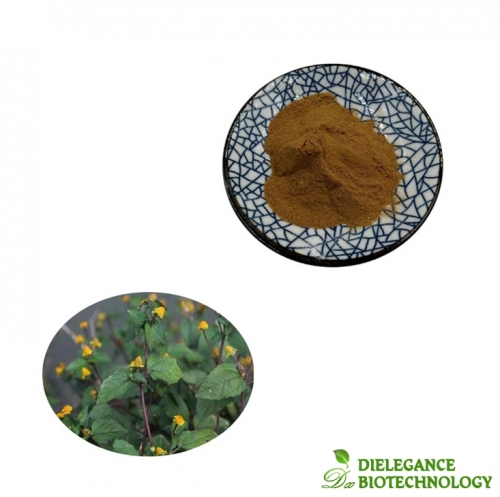 Acmella Oleracea Extract Powder Spilanthol Cosmetic Grade