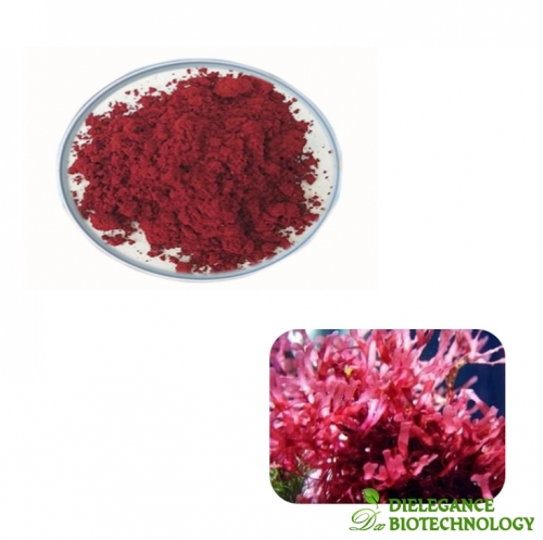 Pure Red Algae Extract Powder Food Supplement