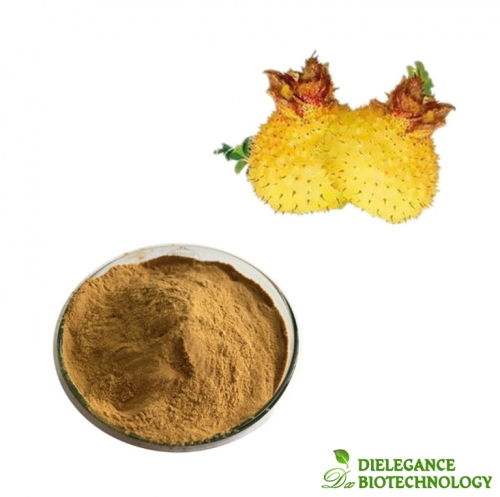 Pure Rosa Roxburghii Fruit Extract Powder High VC Content