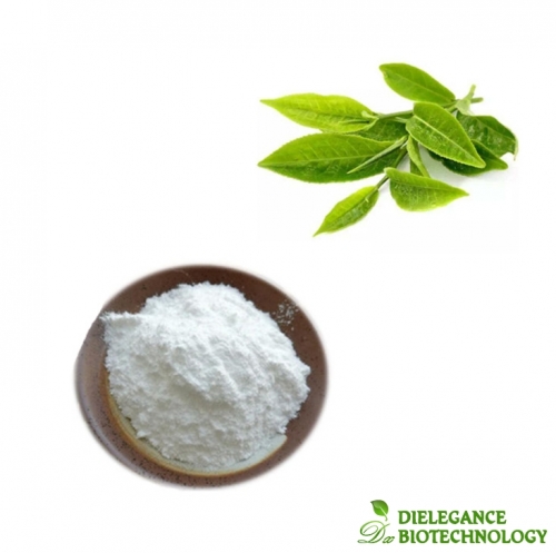 Bulk L-Epicatechin Gallate Powder| Competitive Bulk Pricing | Samples ...